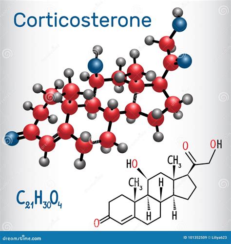 Corticosterone Steroid Hormone Structural Chemical Formula A Stock Vector Illustration Of