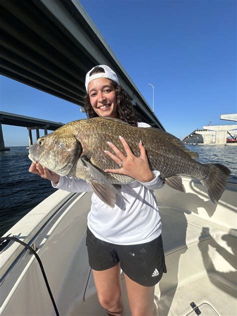 Tampa Bay And Clearwater Beach Fishing Charters Inshore And Nearshore