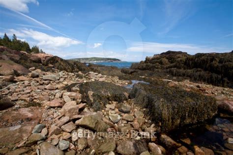 Thunder hole in Acadia National Park at Maine 이미지 495720277 게티이미지뱅크