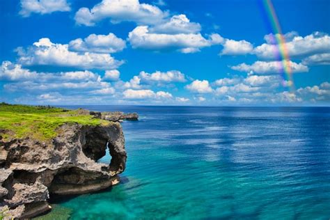 Premium Photo Beautiful Coral Reef Sea Of Okinawa
