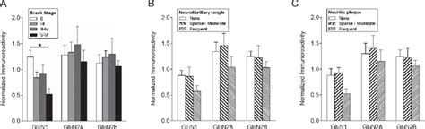 Association Of Glun Subunit Alterations With Ad Pathology Bar Charts