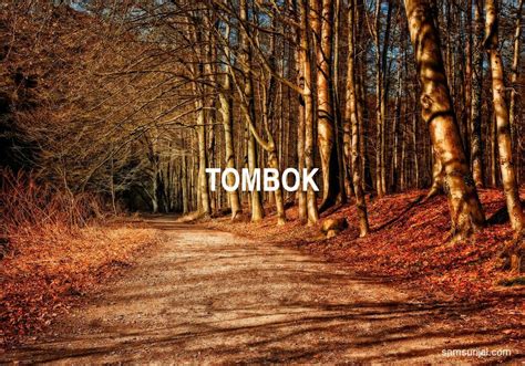 3 Arti Kata Tombok Kamus Besar Bahasa Indonesia Kbbi