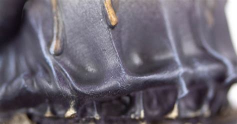 Carnevale Secreting Myxin Painted Guys