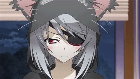 My Top 5 Infinite Stratos Girls Anime Amino