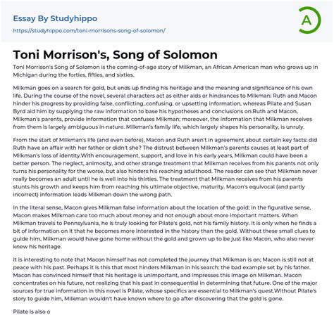 Toni Morrisons Song Of Solomon Essay Example StudyHippo