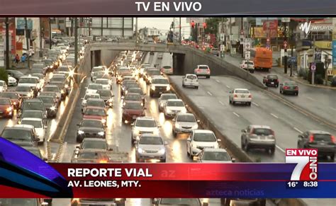 Top 73 Imagen Av Leones Abzlocalmx