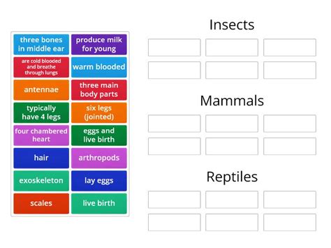 Organisms Classification Assertiveness Group Sort