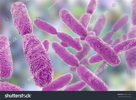 Klebsiella Pneumoniae Microscope