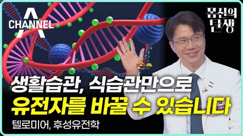 유전자 스위치 프로젝트 방송에서 이야기하지 못한 후성유전학에 대한 더 깊이있는 이야기 채널a 몸신의 탄생 김경철 원장 Youtube