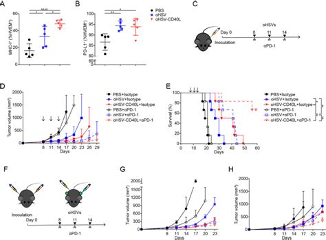 Cd40l Armed Oncolytic Herpes Simplex Virus Suppresses Pancreatic Ductal