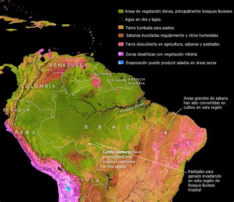 Mapeando La Amazonia Punto Azul Pálido