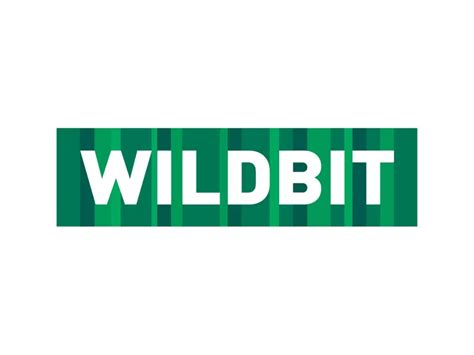 Wildbit Logo PNG Vector In SVG PDF AI CDR Format