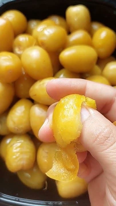 تخزين البلح البرحي بكل سهولة Youtube