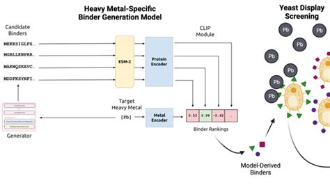 Generative Design Of Programmable Metal Binding Proteins For Bioremediation Experiment