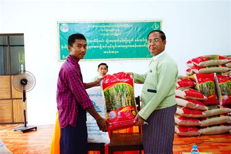 Myanmarnationalpost သံတွဲမြို့၌ မျိုးစေ့ထုတ်စံပြစိုက်ကွက်စမ်းသပ်စိုက်ပ
