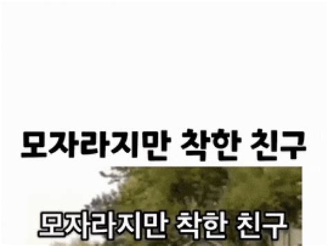모자라지만 착한 친구 유머 게시판