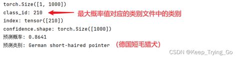 使用pytorch实现预训练模型迁移学习中的图像分类 pytorch迁移学习中的多分类算法图 csdn博客