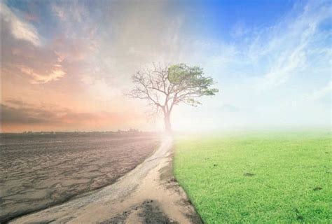 World Environment Day 2023 क्यों और कैसे हुई विश्व पर्यावरण दिवस मनाने