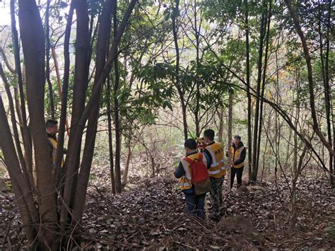 铁道与建筑工程系2017级道桥专业集中实训周在野外开展道路勘测设计实训 教学实训 重庆公共运输职业学院