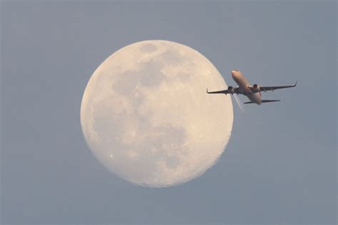 ムーンストライクその1JAL GANREF