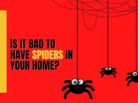 Spiders Beneficial Helpers Or Annoying Pests