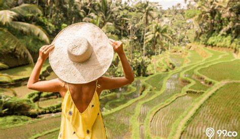 Desa Wisata Yang Ada Di Indonesia Tamasya Indonesia
