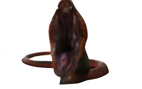 Snake Fangs By Dracoawesomeness On Deviantart