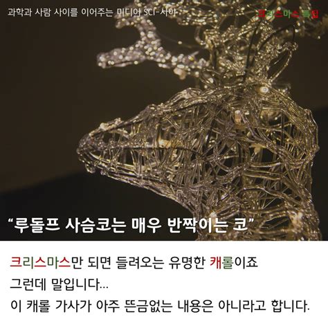 Sci 사이 [크리스마스 특집] 루돌프 코가 실제로 빨갛다고 루돌프의 진실 메리크리스마스