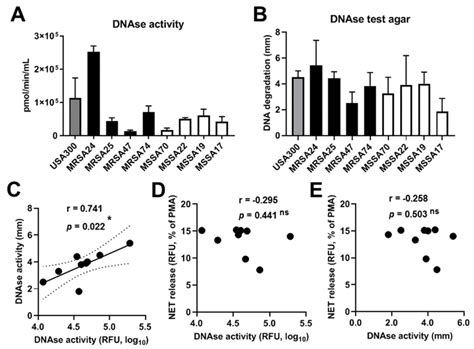 Dnase Activity Of Cf Clinical Isolates Of S Aureus Dnase Activity Was