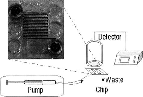 Illustration Of The Microfluidic System Using A Microchip And