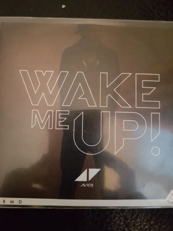 Wake Me Up Avicii