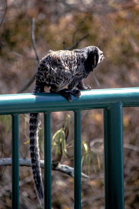 강 건축 경치가 좋은 고속도로 교통 남아메리카 높은 다리 다리 대도시 도로 도시 도시 경관 도시 교통 도시 생활 도시 전망 도시 풍경 도시의