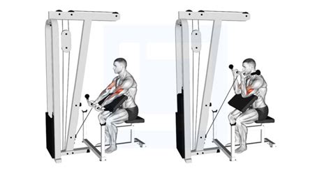 Cable Rear Drive Guide Benefits And Form