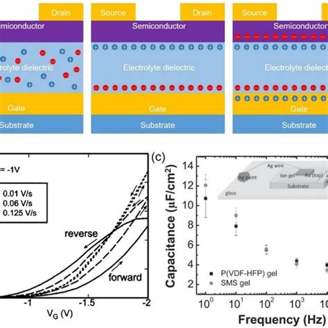 A The Formation Of The Electric Double Layers The Left Schematic Download Scientific Diagram