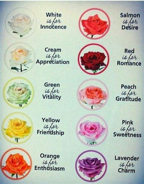 Colors Of Roses And Their Meanings A Blue Rose Is Meant For Honesty