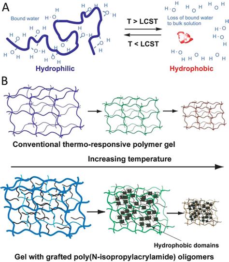 Schematic Of Smart Polymer Response To Temperature Reproduced With