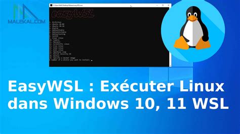 Easywsl Exécuter Linux Dans Windows 10 11 Wsl