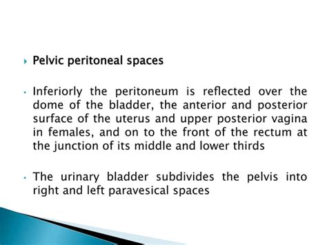 Imaging Anatomy Of Peritoneum Ppt