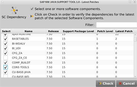 sap nw java support tool sapmin trucos