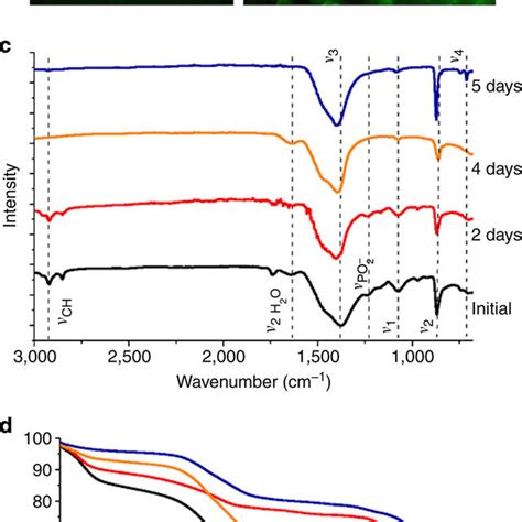 Solid State Nmr Analysis 1h Solid State Nmr Spectra Of A Uncoated Download Scientific