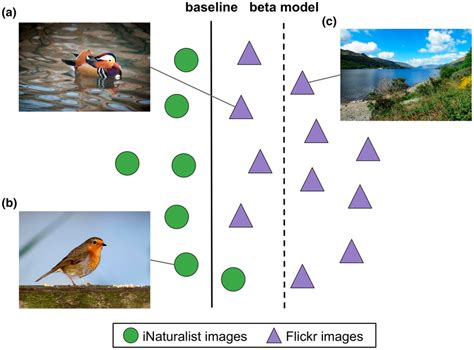 The Effect Of The β Dilution Coefficient On The Species Interaction Download Scientific Diagram