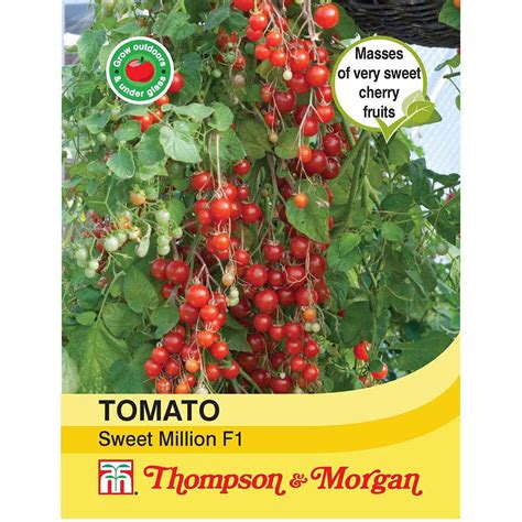 Thompson And Morgan Tomato Sweet Million F1 Hybrid Seeds Stratford
