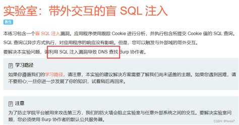 【portswigger】sql注入实验全记录 Csdn博客