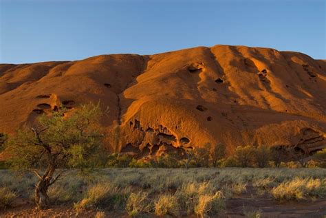 Yulara Images Free Download On Freepik