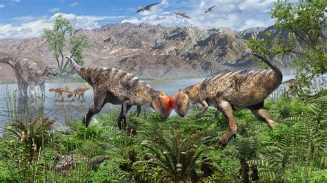 Oldest Known Dome Headed Dinosaur Discovered Sticking Out Of A Cliff In