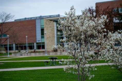 Grounds Maintenance University Of Wisconsin River Falls
