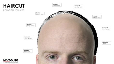 The Perfect Haircut Length Chart For Men Infographic Mens Guide
