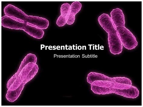 Chromosome Powerpoint Templates