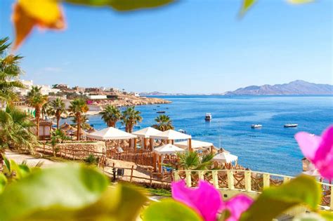 Travellux Горящие туры из Кишинева