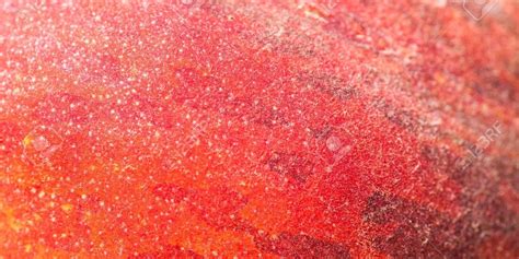 Fuzzing Help Dev Community